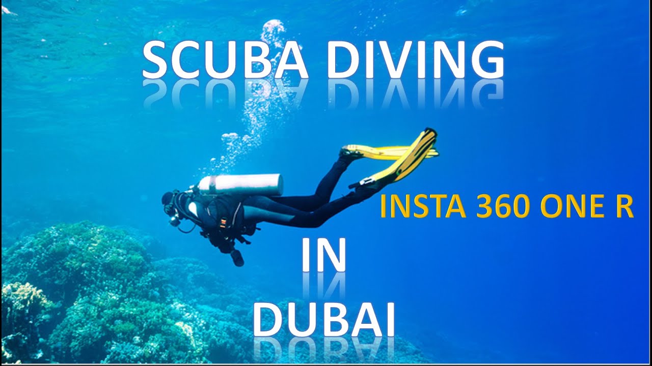 SCUBA DIVING WITH INSTA 360 ONE R CAMERA - YouTube