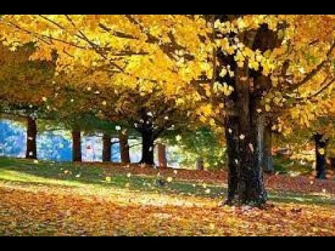 Yavuz Bülent Bakiler - Şaşırdım Kaldım İşte Bilmem Ki Nemsin? (Uzun Versiyon)