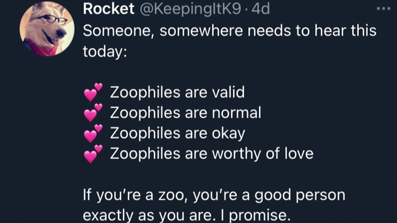 Zoophiles Are Taking Over Twitter... - YouTube