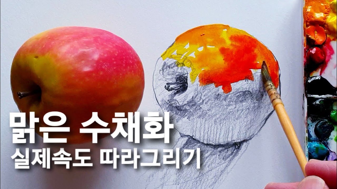 맑은 수채화로 사과 따라그리기 Youtube