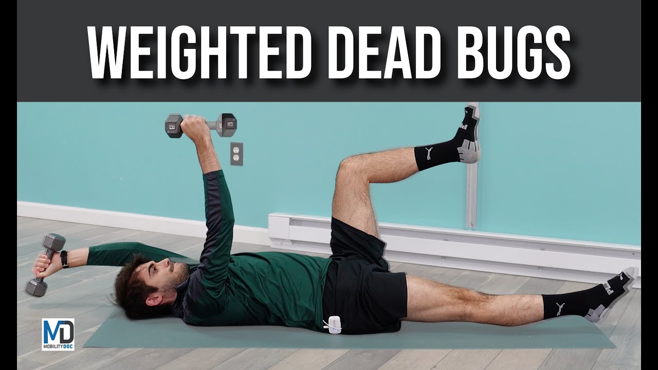 Weighted Abs Exercise: Dead Bugs - YouTube