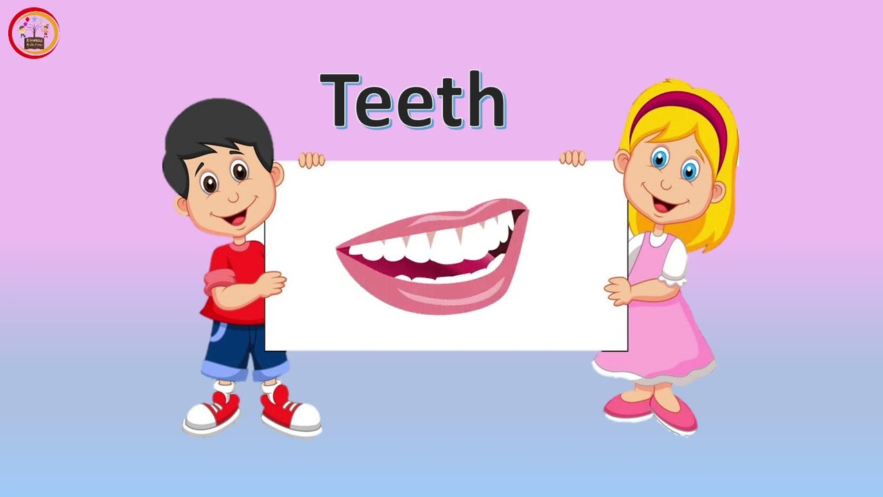 Learn Parts Of Body Name With Pictures In English Human Body Parts learn-parts-of-body-name-with-pictures-in-english-human-body-parts