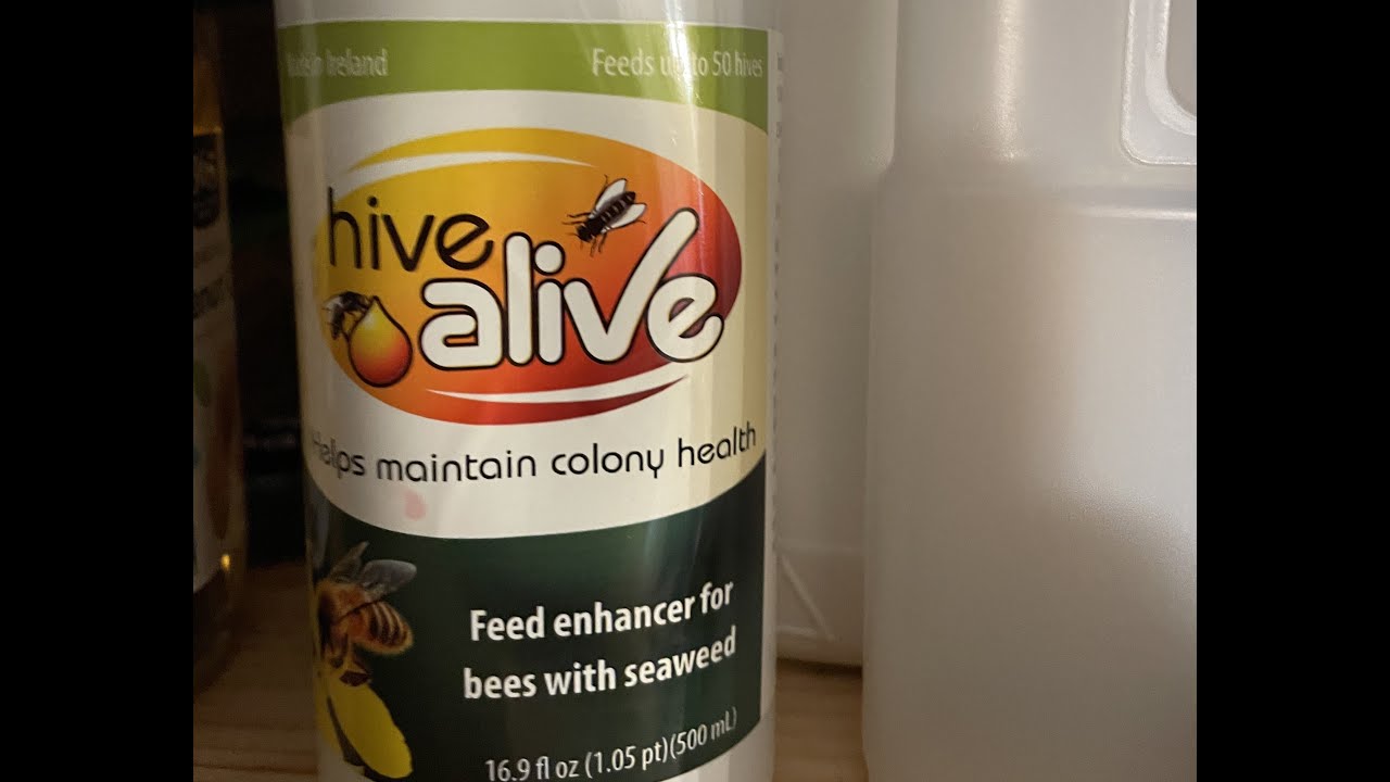 Supplements Part 2 for Honeybees -- Strong Microbials Bee Bites vs Hive ...
