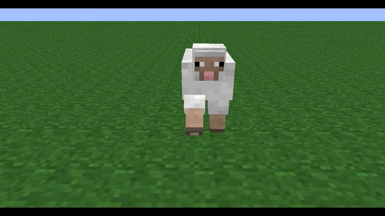 The Cocky Sheep! | Minecraft Animation - YouTube