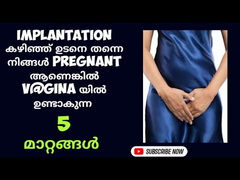 5 Most Common V@ginal changes Just after Successful Implantation ...