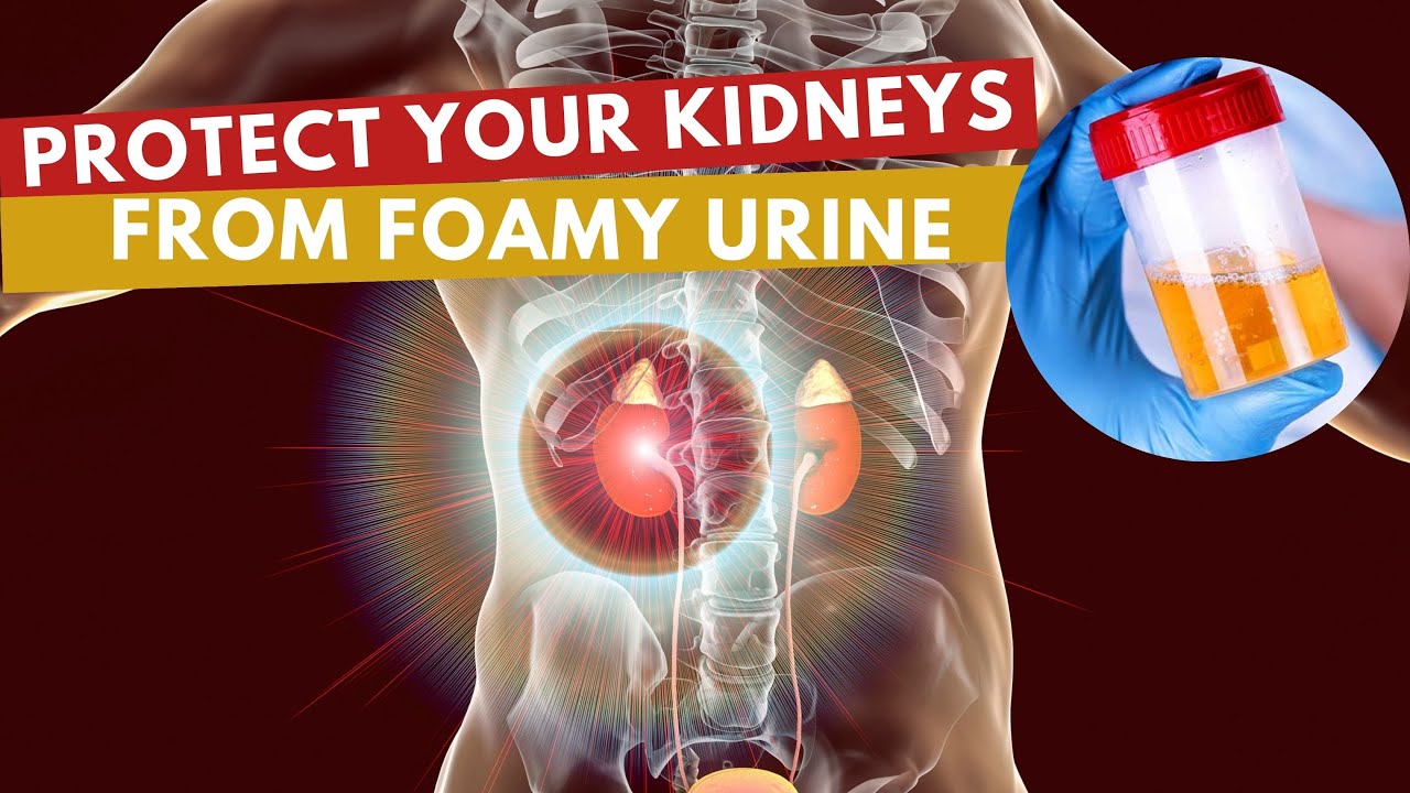 Routine Mornings With This Proteinuria-fighting Routine For Speedy ...