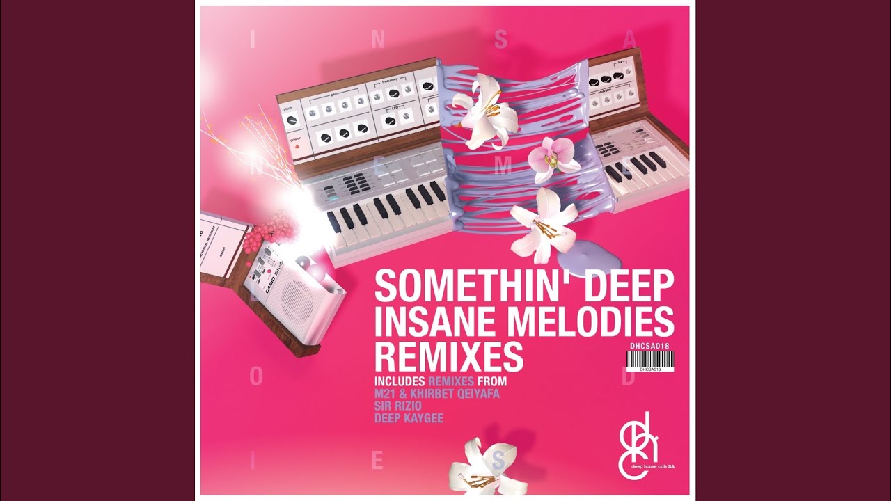 Insane Melodies (Sir Rizio's Dynamic Dub) - YouTube