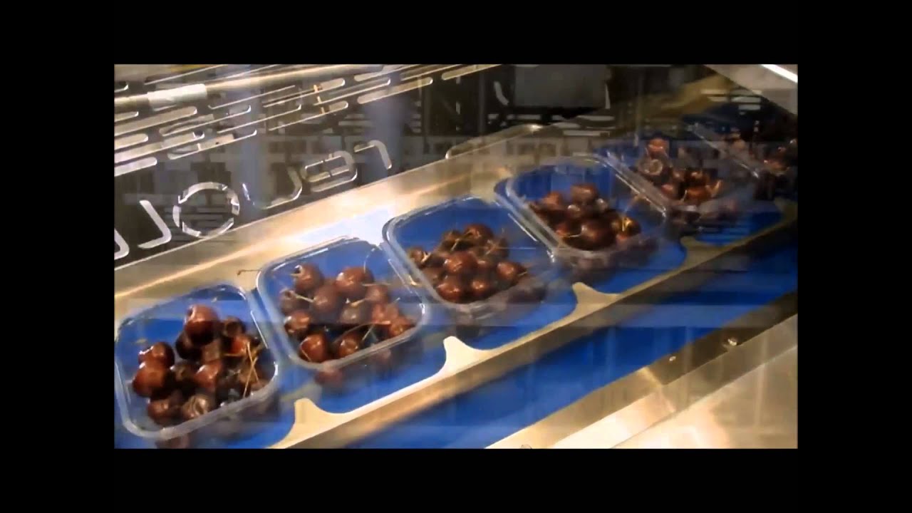 Cherries Packing Line - Packaging Automation High Speed Revolution Tray ...