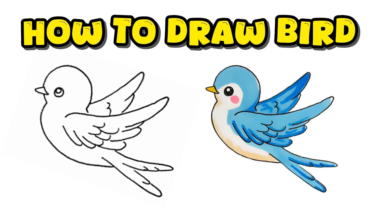 How to Draw a Beautiful Bird – Follow Along with Drawing Process - YouTube