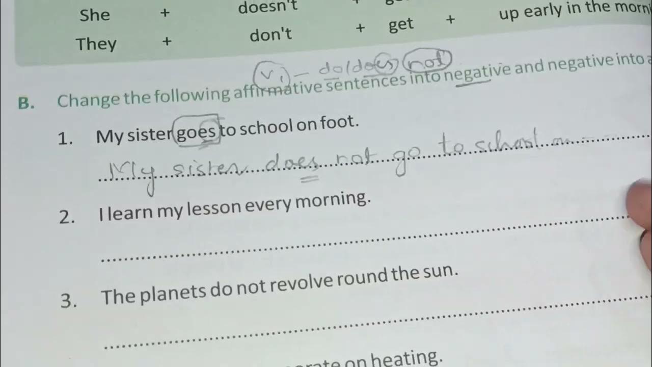 CHANGE THE FOLLOWING AFFIRMATIVE SENTENCES INTO NEGATIVE SENTENCES AND NEGATIVE INTO AFFIRMATIVE ...