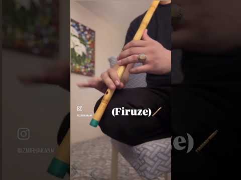 Sezen Aksu ( FİRUZE) #ney #neyzenler