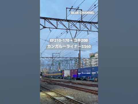 (貨物列車) 2023/04/18 2058レ EF210-170 + コキ20B カンガルーライナーSS60 #Shorts - YouTube