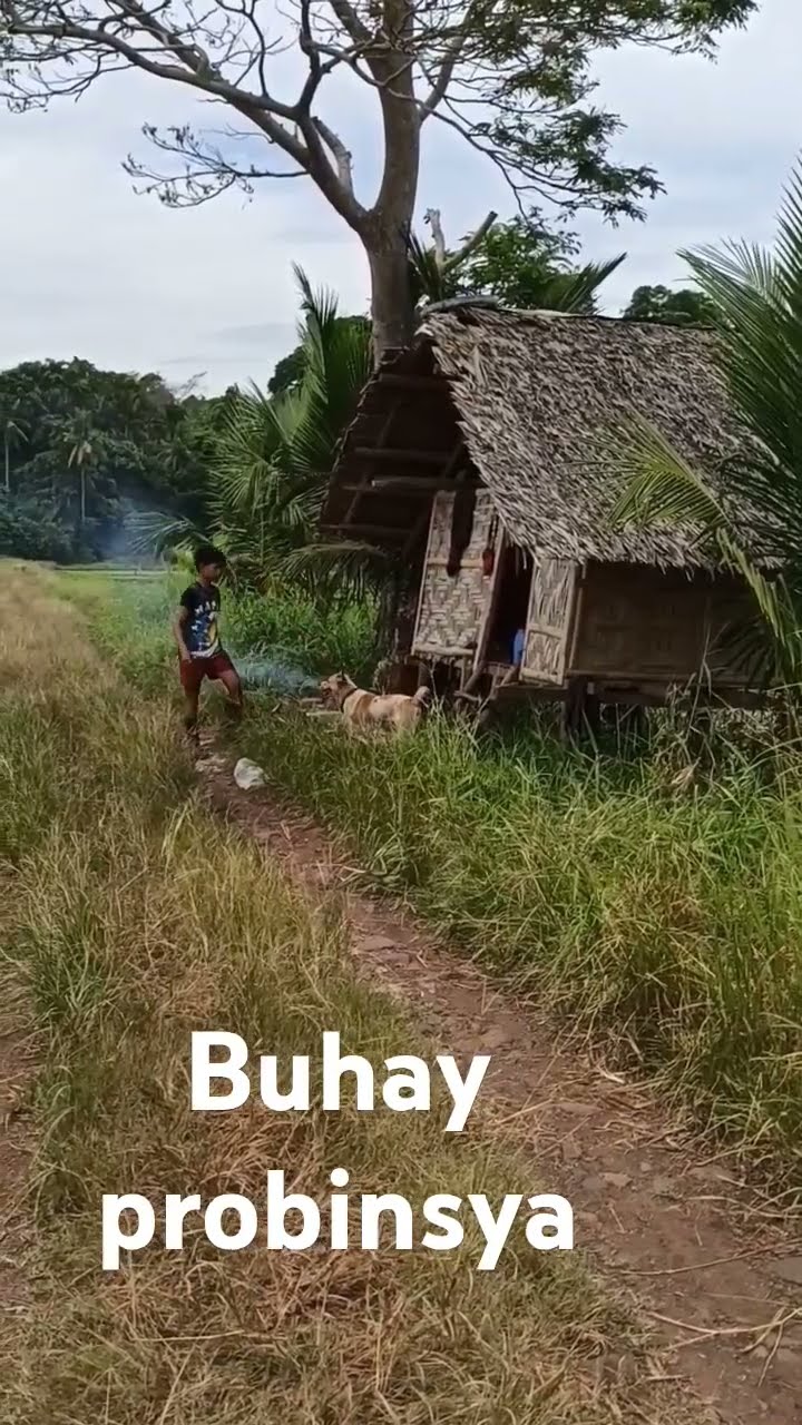 sa bukid - YouTube