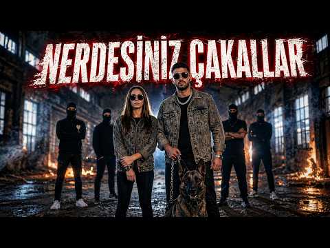Asron - Nerdesiniz Çakallar (Official Video) #çakal