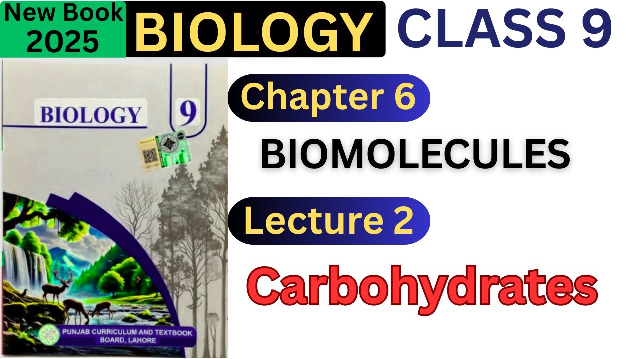 Carbohydrates | Biomolecules Chapter 6 | Lecture 2 | 9th Class Biology ...