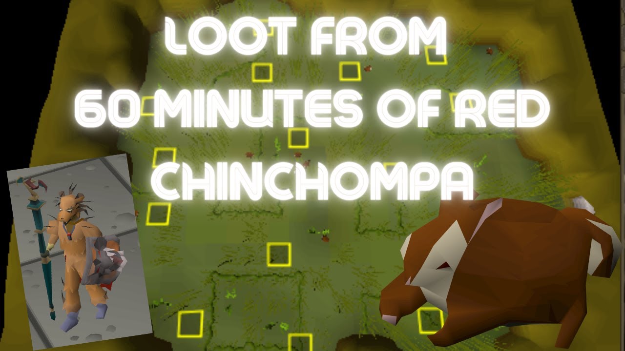 Loot From 60 Minutes of Hunting Red Chinchompas on oldschool runescape ...