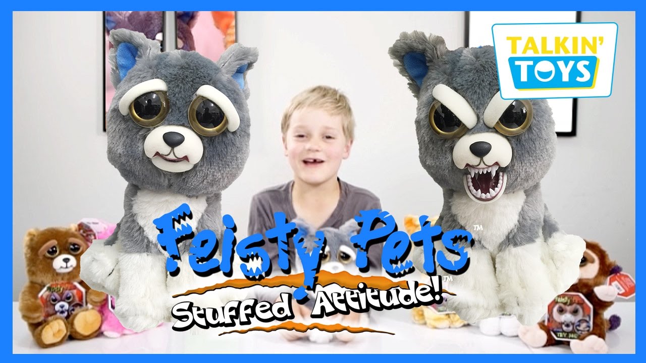 Feisty Pets | Talkin' Toys - YouTube