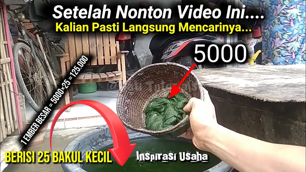 Inspirasi Usaha Di Desa Dengan Modal Kecil Untung Besar | Jualan Lumut ...