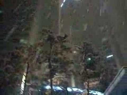 Nevada en Seul 2006 (2)