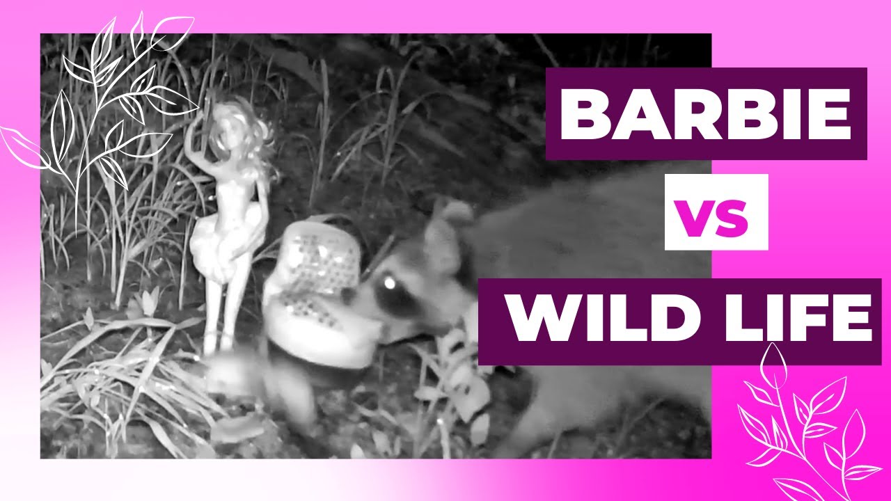 🦊BARBIE VS WILD LIFE. What happens if Barbie was left in the woods. # ...
