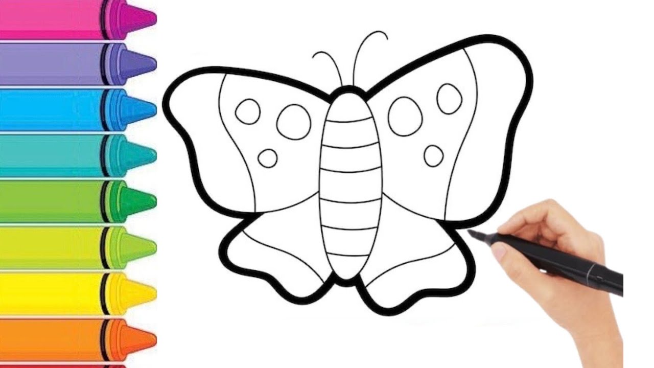 How to Draw a Butterfly | Kids Drawing Colouring Butterfly | Anak ...