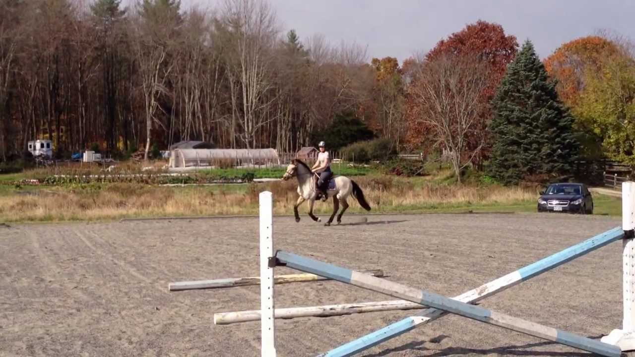 Ky Lesson with Jane Hamlin - Second Course - YouTube
