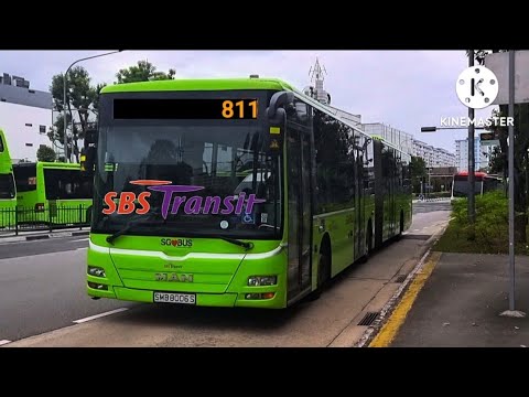 [SBST] Man A24 NG363F Gemilang | Service 811 | SMB8010D (Fast Ride ...