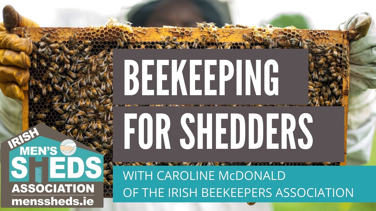 Beekeeping for Shedders with Caroline McDonald of the Irish Beekeepers ...