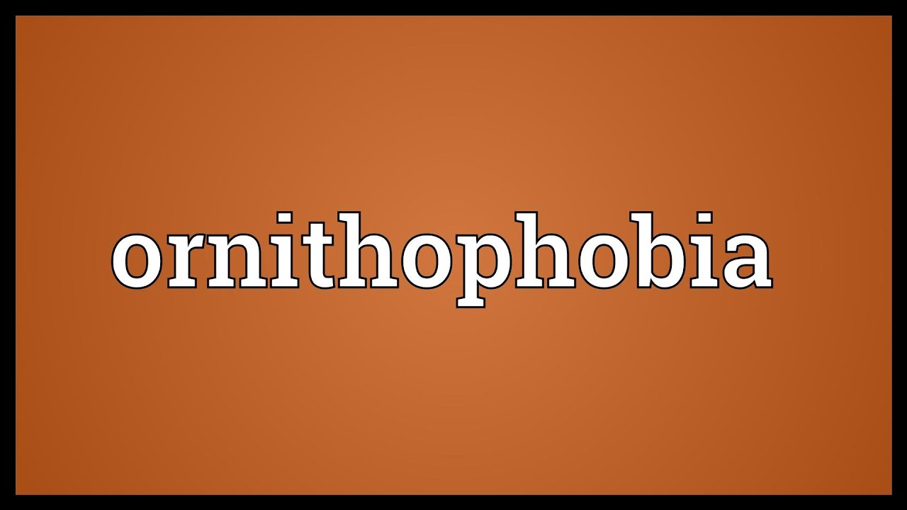 Ornithophobia Meaning - YouTube