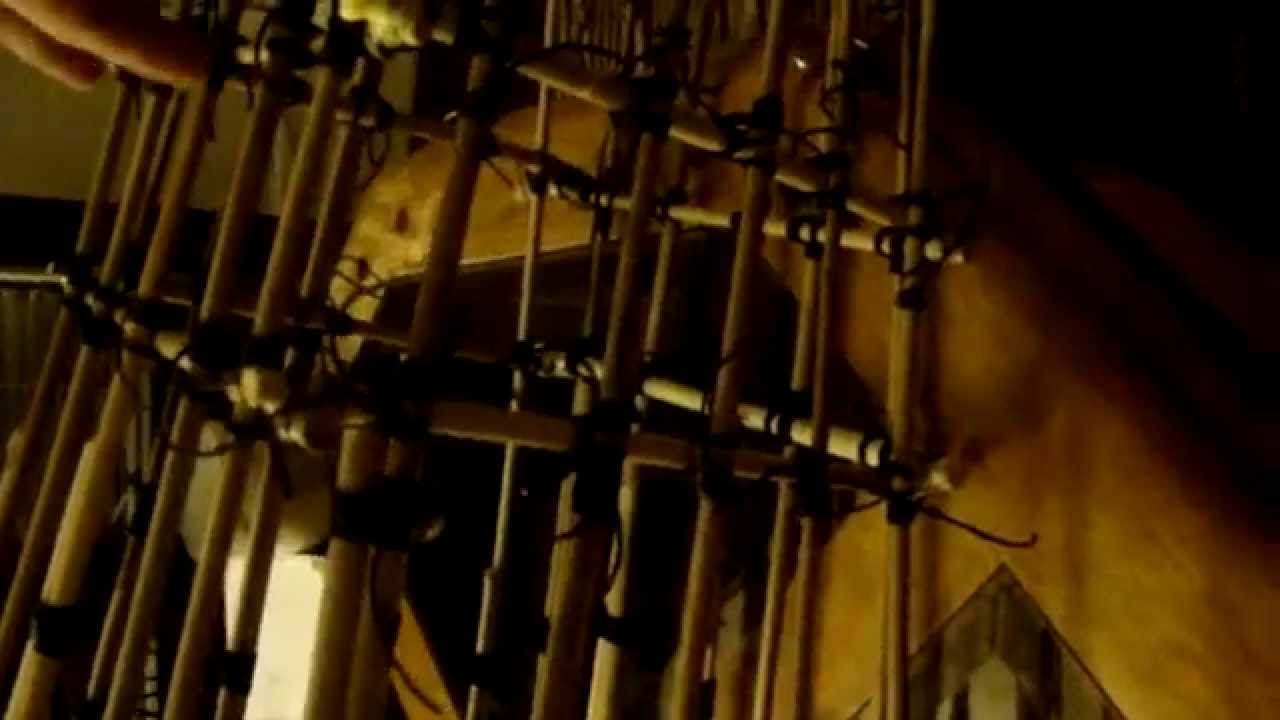 How to make a primitive fish trap - YouTube