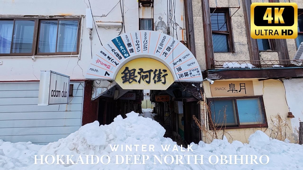 【4K】Hokkaido Obihiro Winter Walk | Station Area & Deep "Moto-Akasen ...