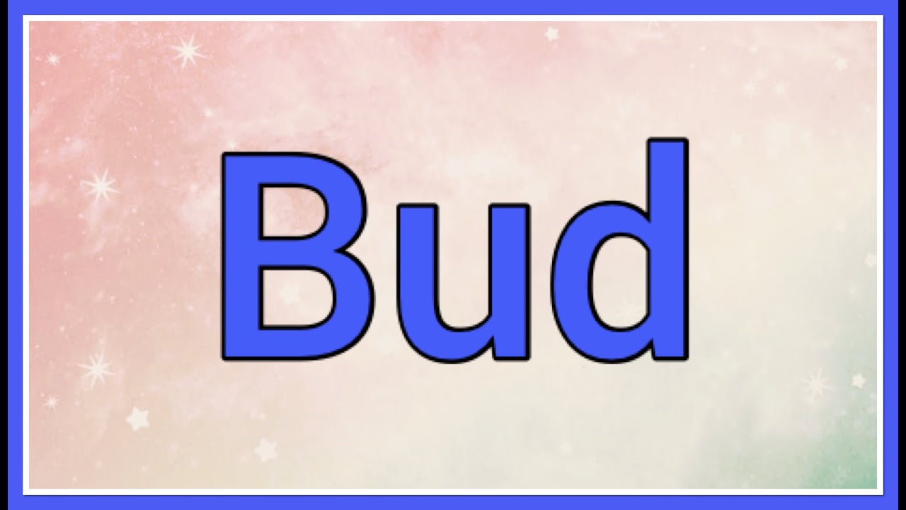 Bud | Name Origin Meaning Variations - YouTube