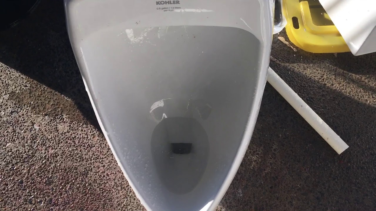 Kohler Dexter Flushes! - YouTube