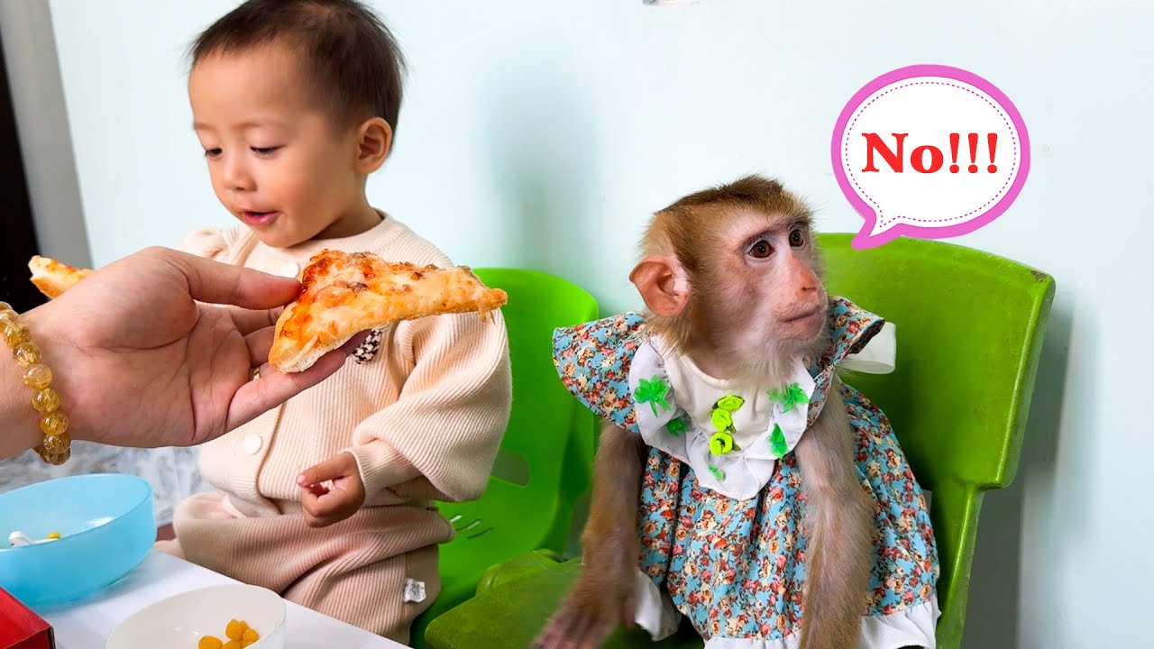 Monkey Kaka's expression is funny when doesn't like to eat Pizza - YouTube