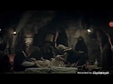 Dabbe korkusuz  6
