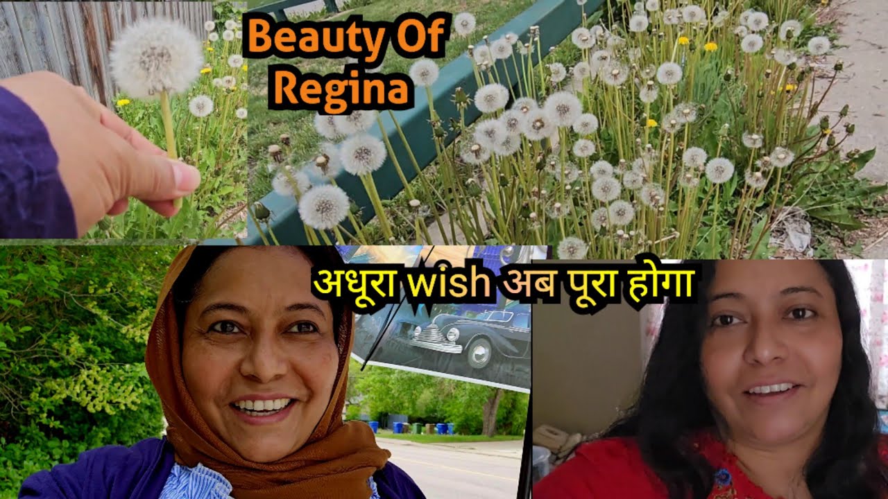 Going To WorkPlace By Walk. Spring Beauty Of Regina Saskatchewan - YouTube