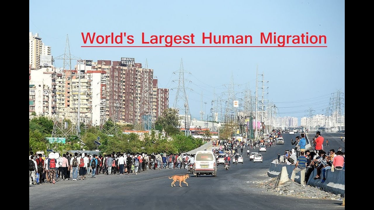 World's Largest Migration - YouTube
