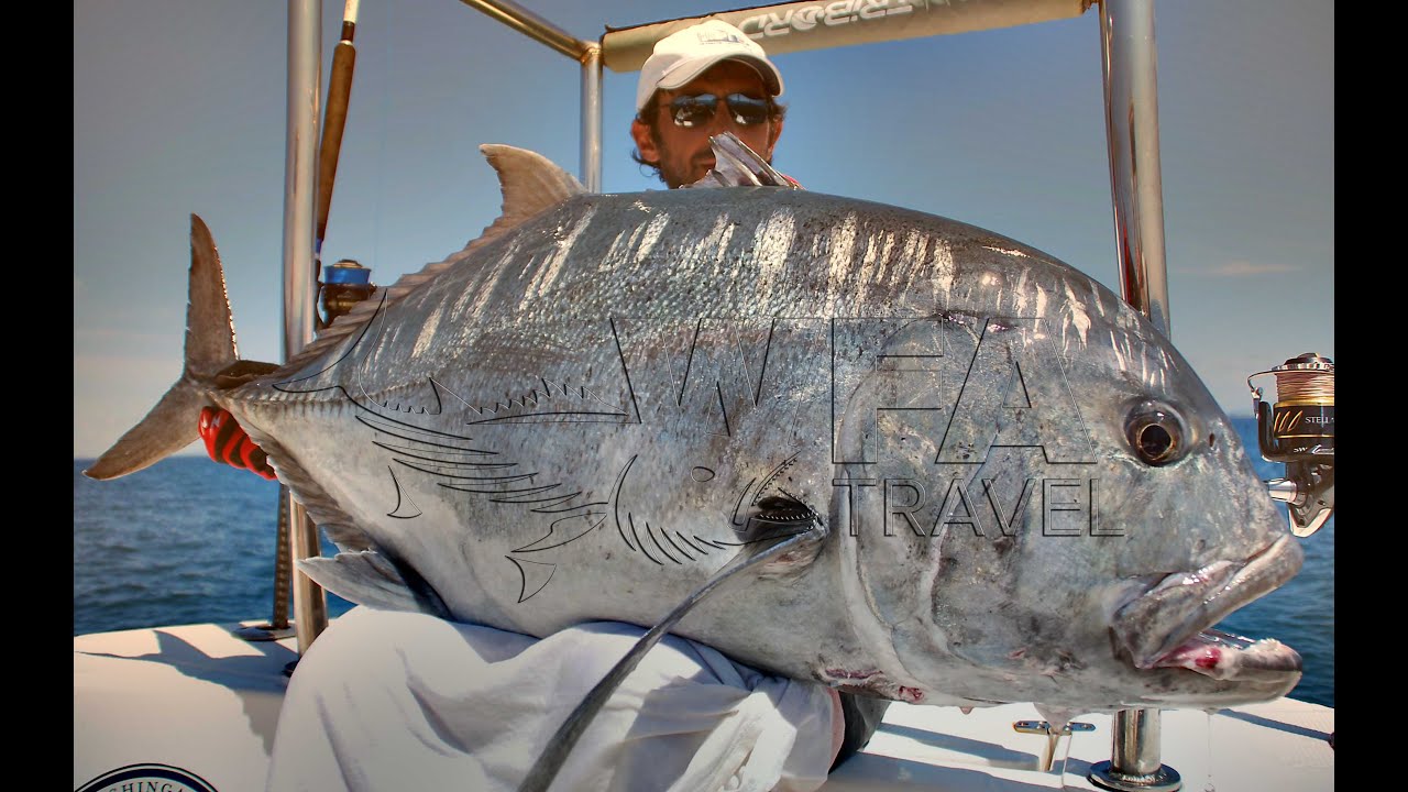 SRI LANKA POPPING and JIGGING - YouTube