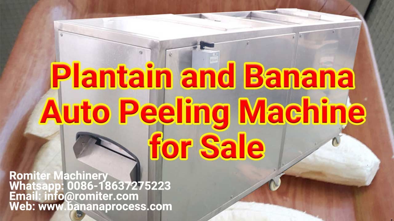 Auto Feeding Double Inlet Green Banana Peeling Machine for Puerto Rico ...