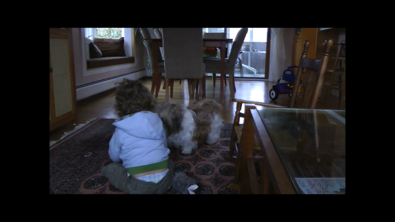 Ty Emma 1 - YouTube
