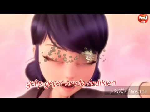 uğurböceğiilekara kedi KİRAZ mevsimi uyarlama