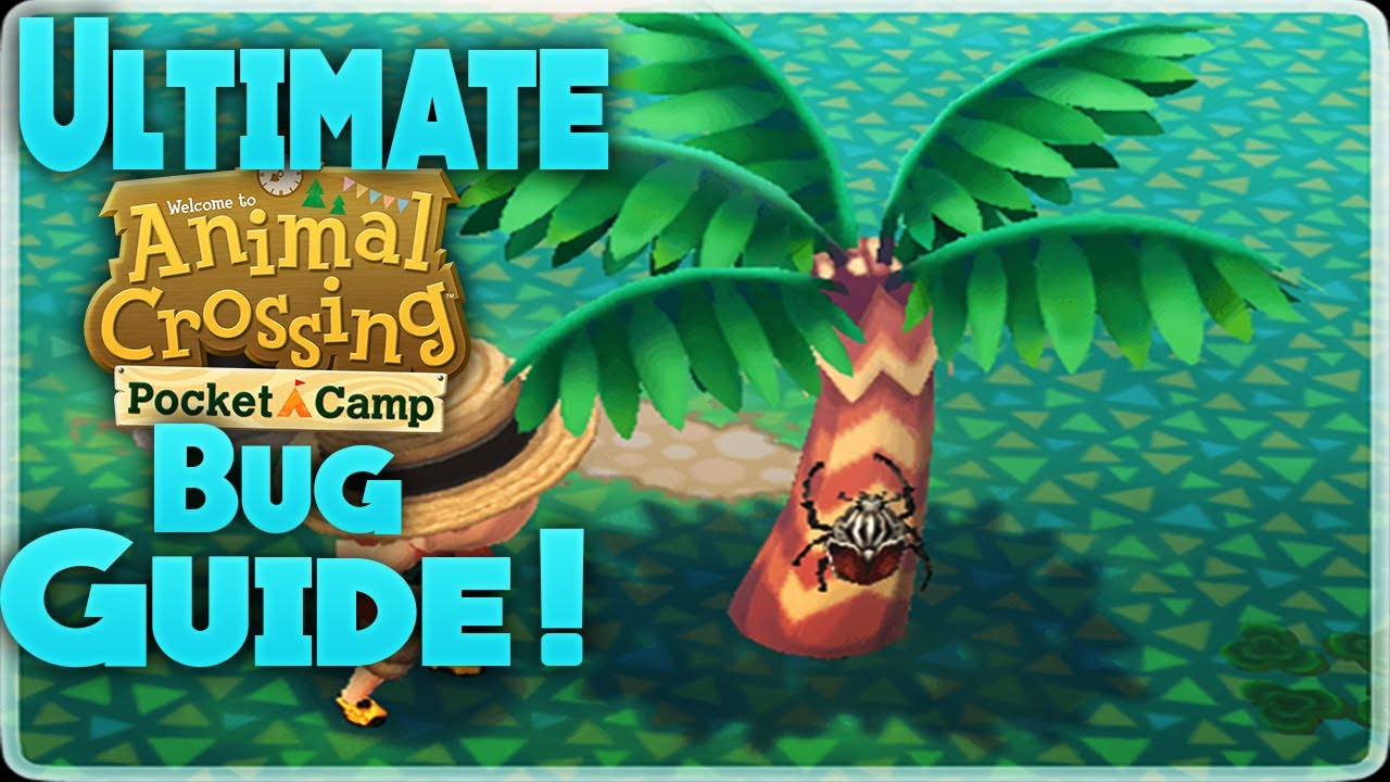 Animal Crossing: Pocket Camp ULTIMATE Bug Catching Guide - YouTube