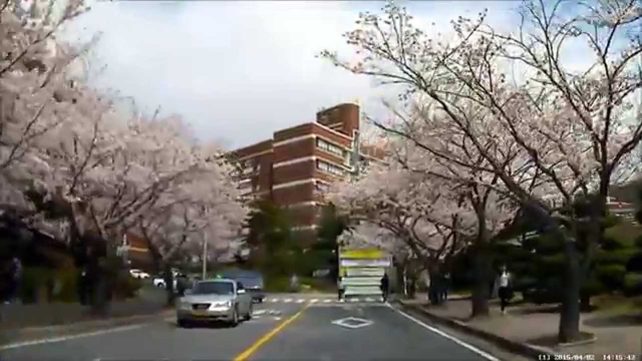 A Short Drive Around Silla University 2015-04-02 🇰🇷 - YouTube