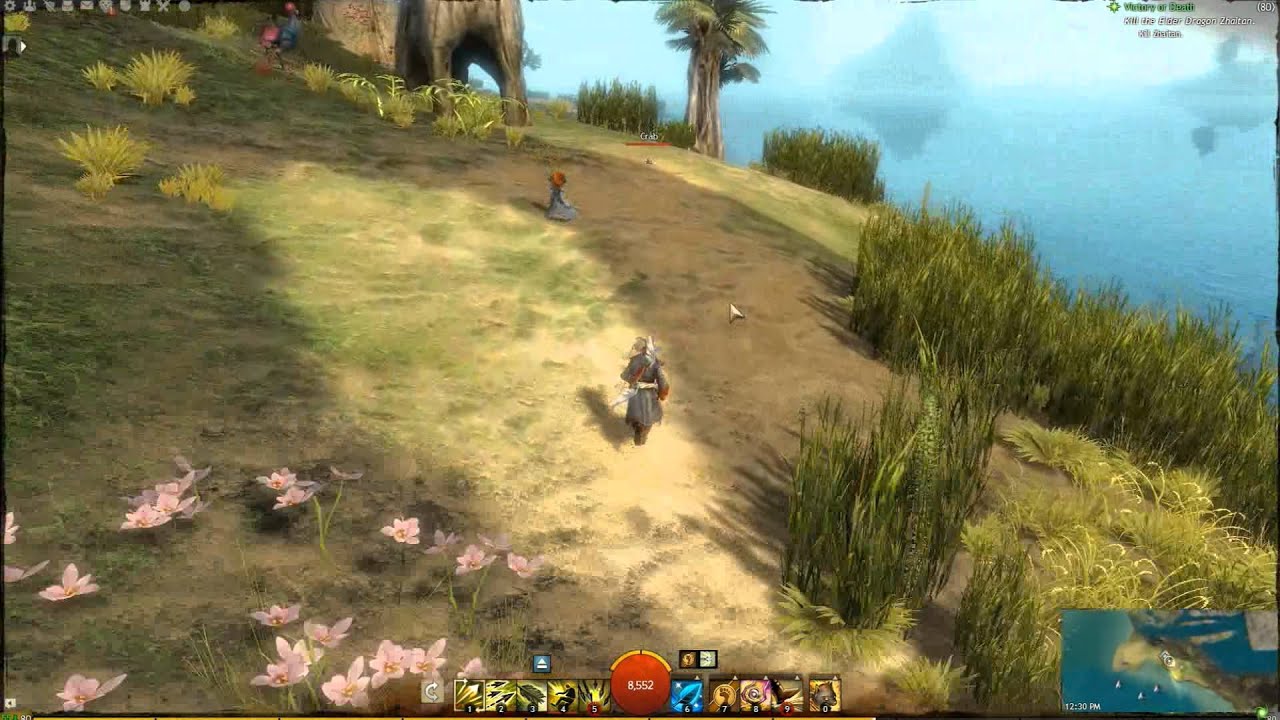GW2 Ranger Pet Locations - Blue Moa - YouTube