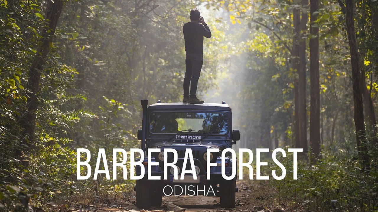 Barbera Forest, Odisha | 2020 - YouTube