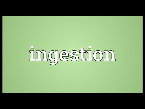 Ingestion Meaning