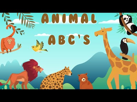 Animal ABC's | Learn the alphabet with animals - YouTube