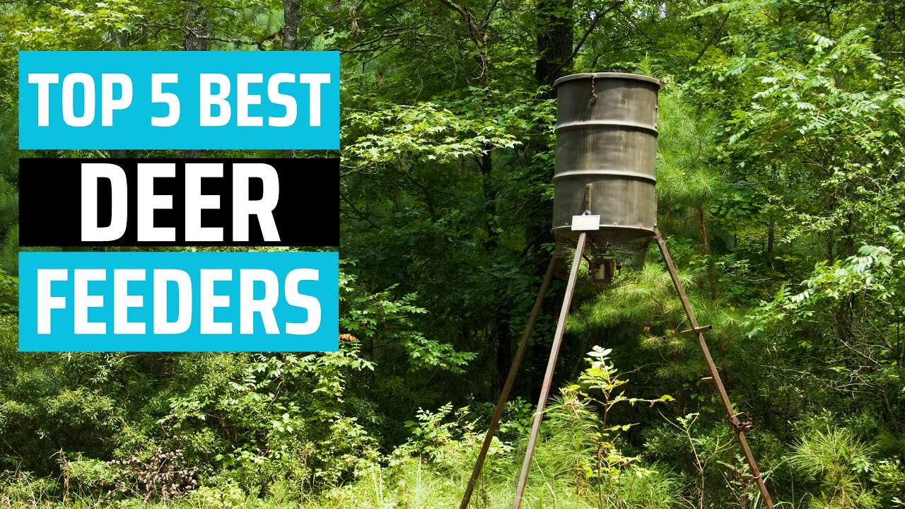 Best Deer Feeders 2025 - [don’t buy one before watching this] - YouTube