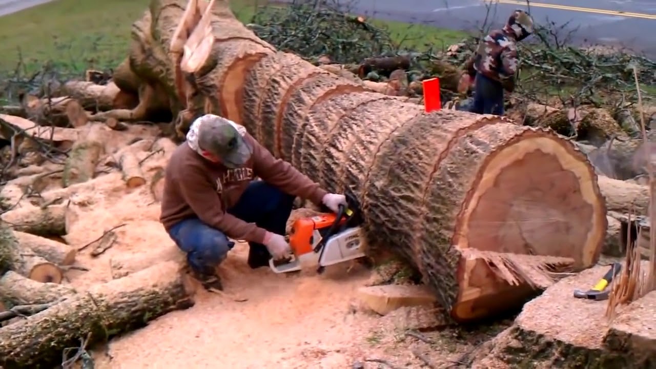 Primitive Technology vs Mega Machines Sawmill Unusual Woodwork Chainsaw ...