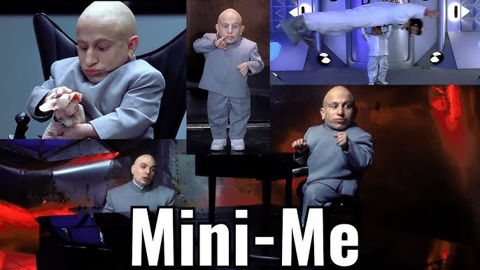 You Complete Me Mini Me Meme